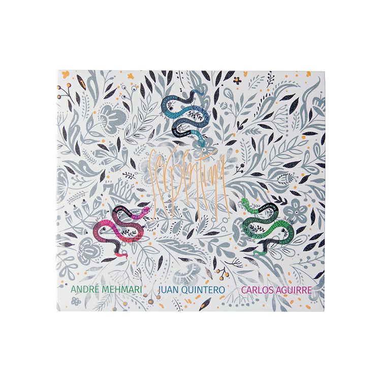 Andre Mehmari,Juan Quintero,Carlos Aguirre / Serpentina | DELFONICS Web ...